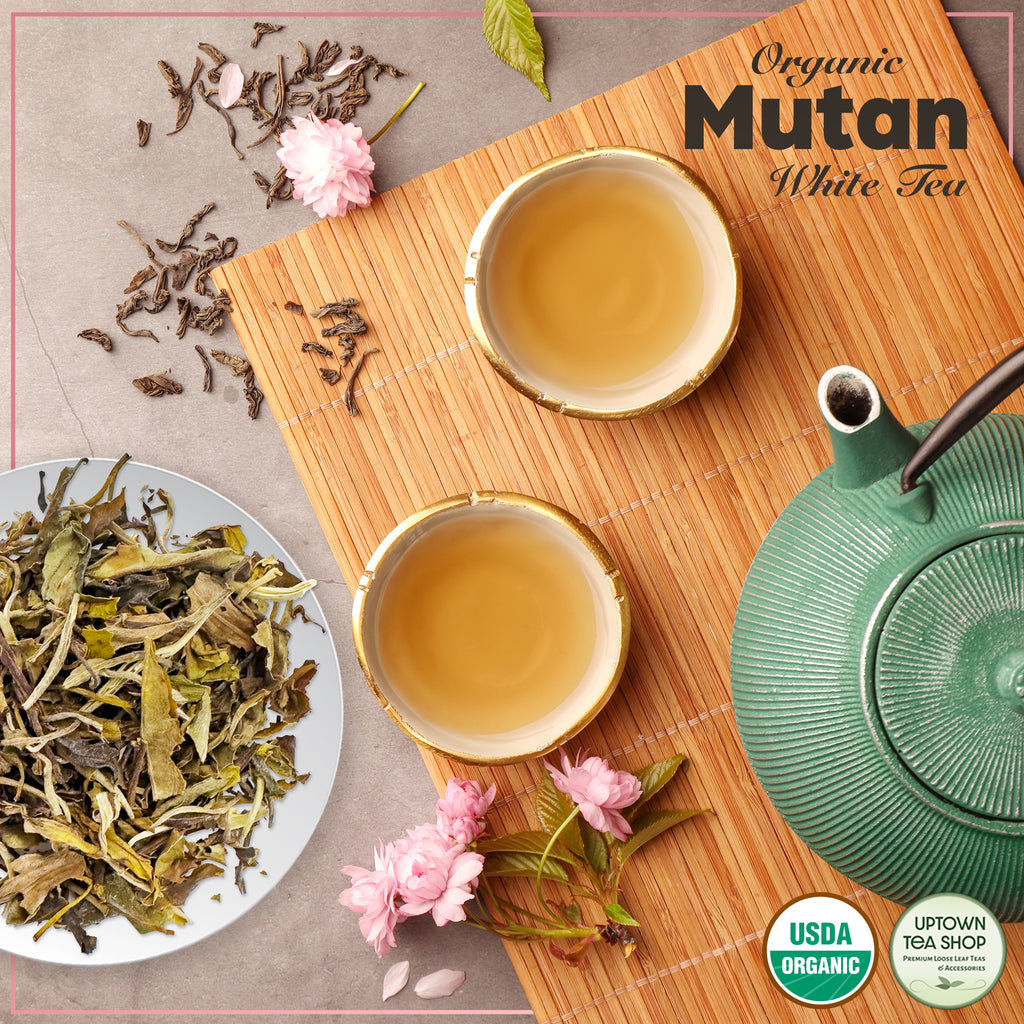 Organic Mutan White | White Tea – Uptown Tea Shop LLC