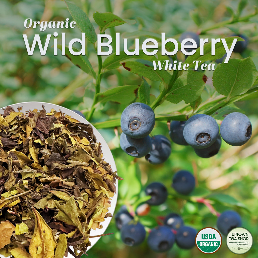 Organic Wild Blueberry | White Tea – Uptown Tea Shop LLC