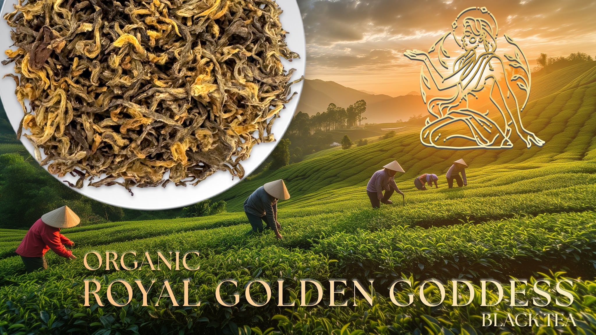 Uptown Tea Shop — Premium Loose Leaf Tea & Accessories